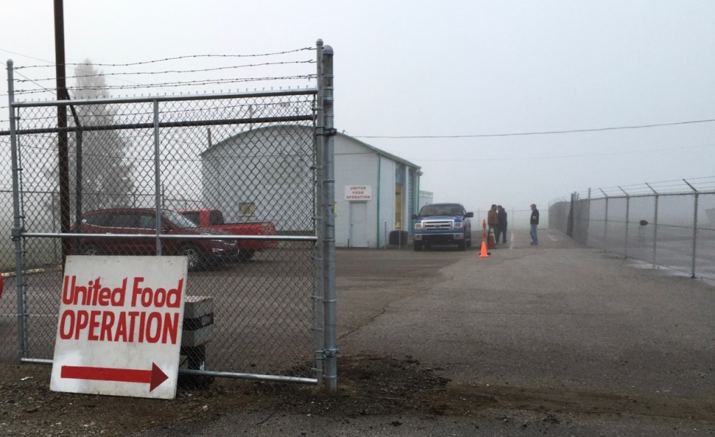 First Distribution-Saturday of 2016 for United Food Operation | United ...